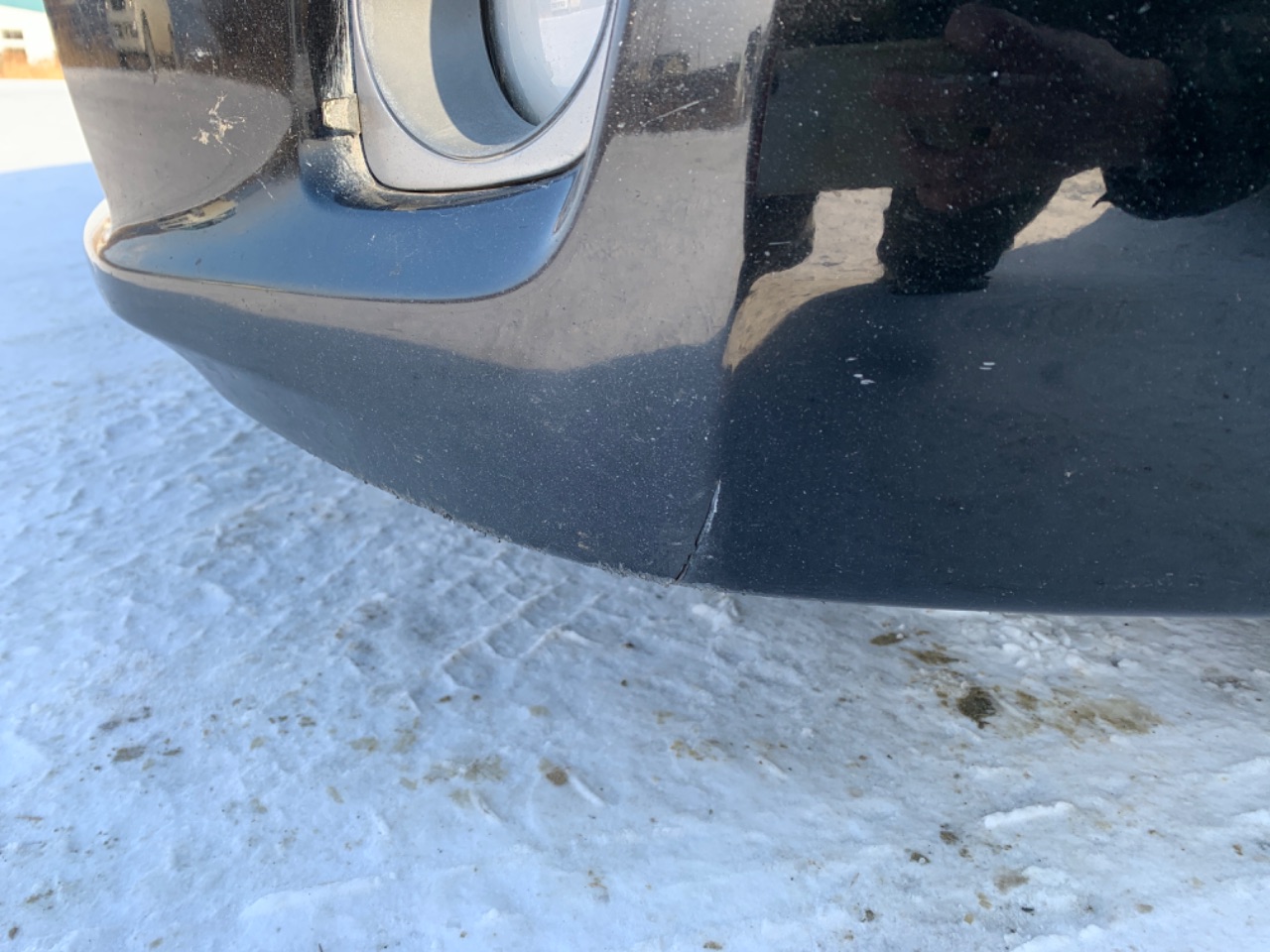 GAPRAS トヨタ プリウス - 商品詳細 - BD12473