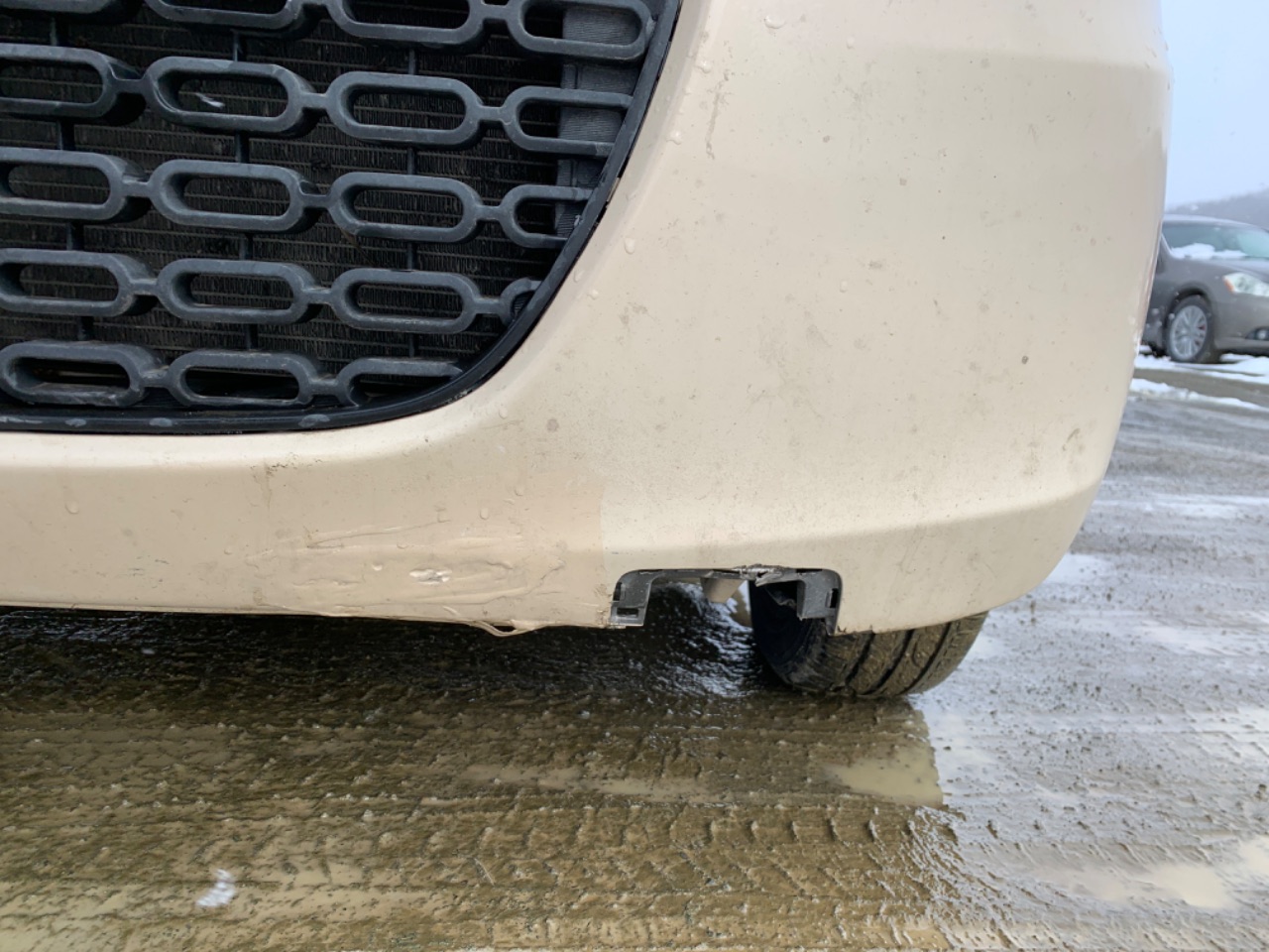 GAPRAS スズキ アルト - 商品詳細 - BD13475