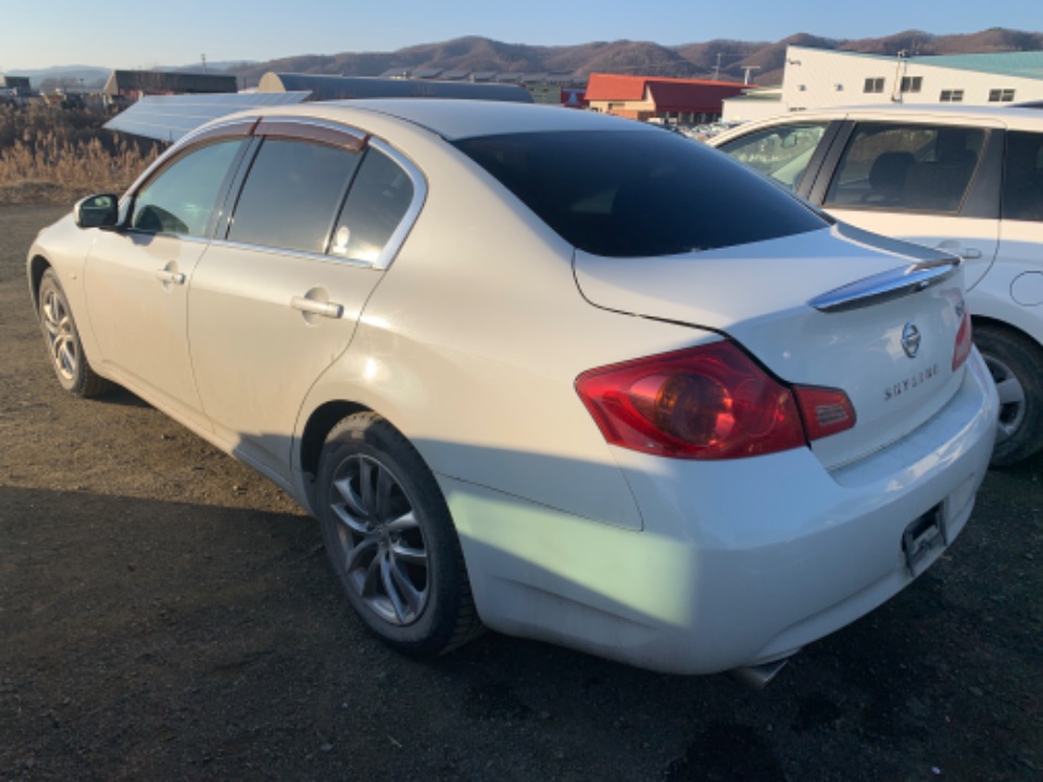 GAPRAS NISSAN Skyline - Product detail - BD7982